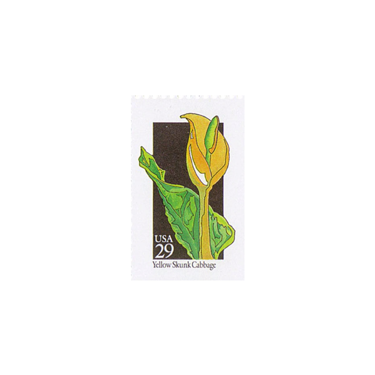 10 Yellow Skunk Cabbage Wildflower Postage Stamps // UNUSED // Yellow ...
