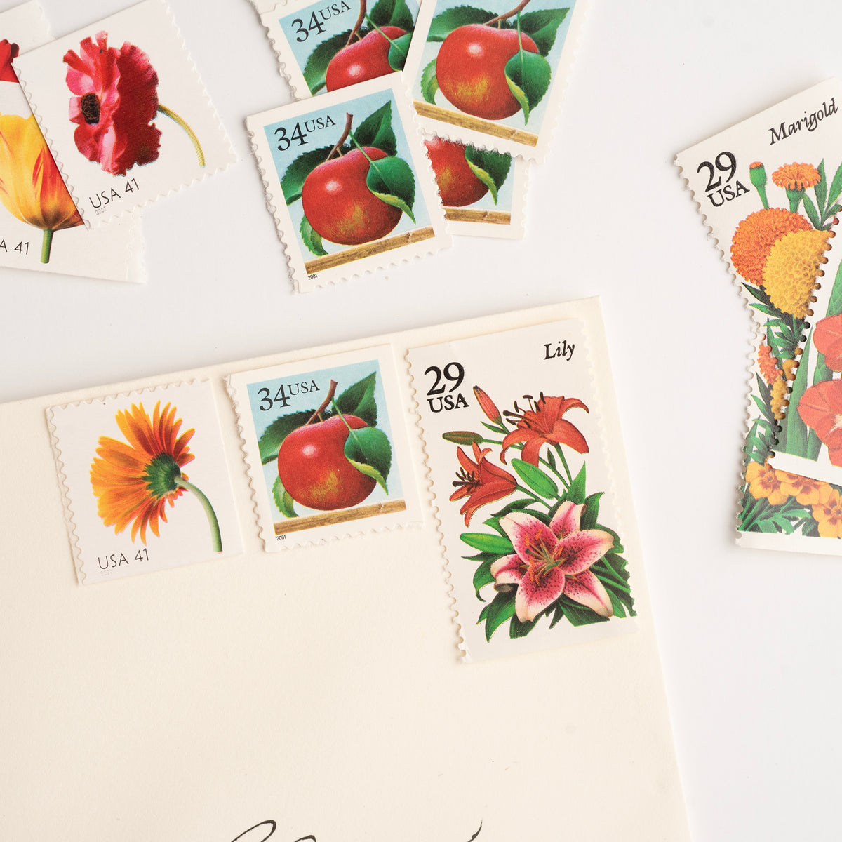 Apple Orchard Postage Set // Set of 5 // $1.04 in postage – Flourish ...