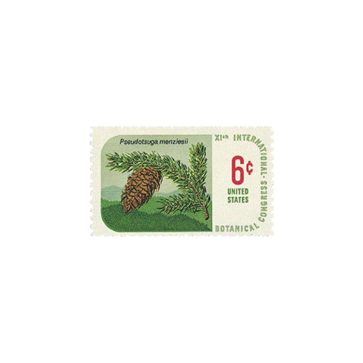 10 Douglas Fir Postage Stamps // UNUSED // 6 Cent Stamp // Botanical C ...