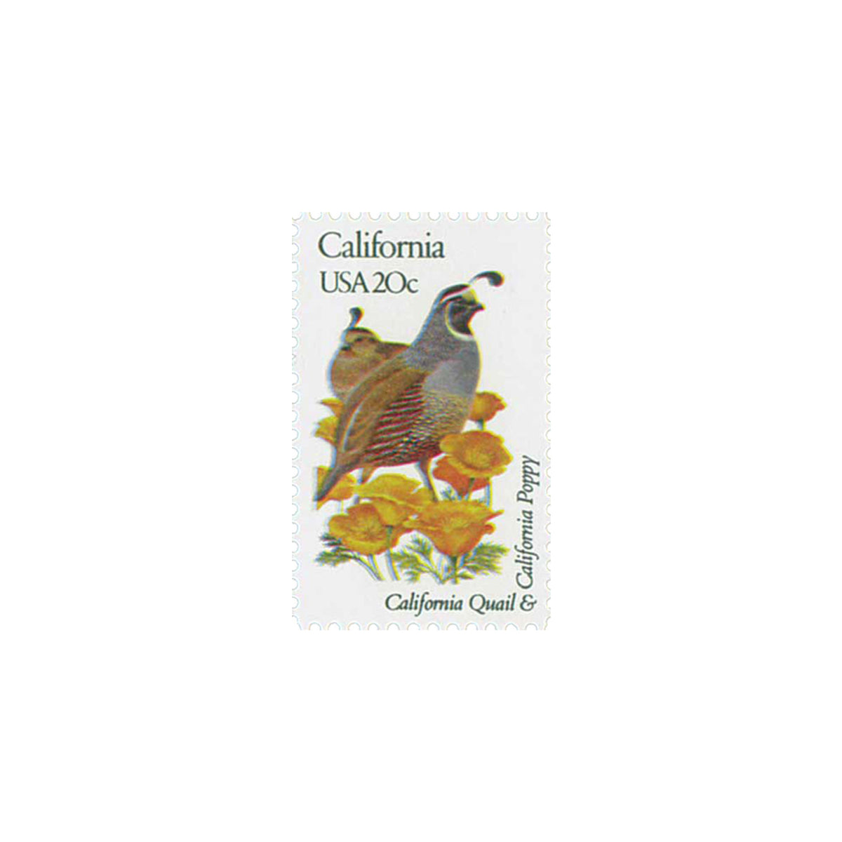 10 California Quail and California Poppy Postage Stamps // UNUSED // 2 ...