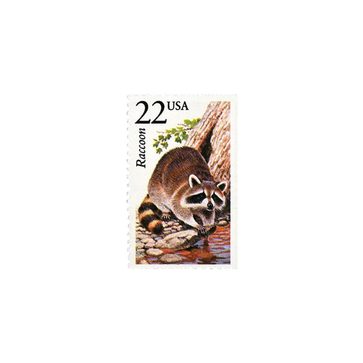 5 Raccoon Postage Stamps // UNUSED // 22 Cent // Forest // Camping ...
