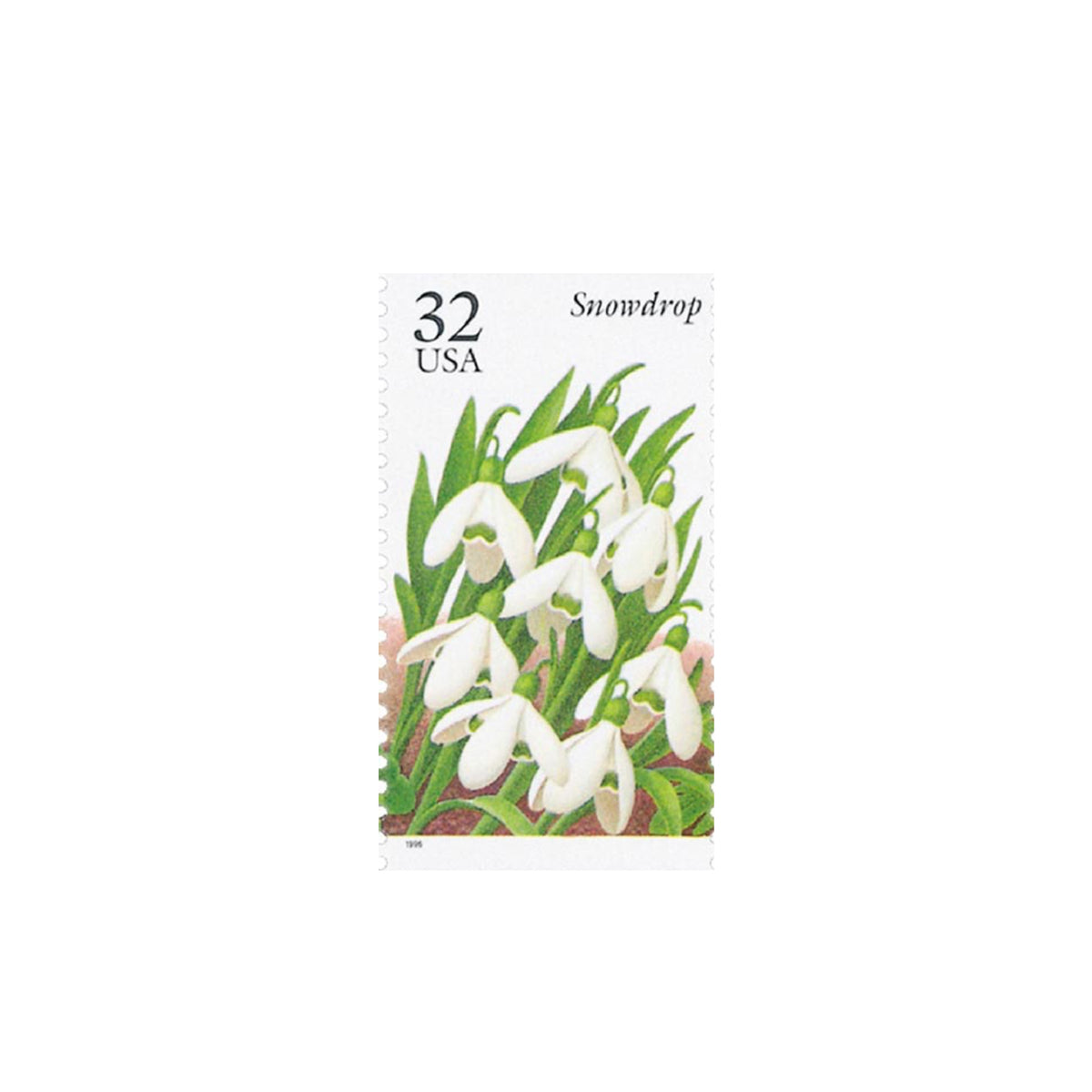 10 Snowdrop Flower Postage Stamps // UNUSED // Winter Garden // Botani ...
